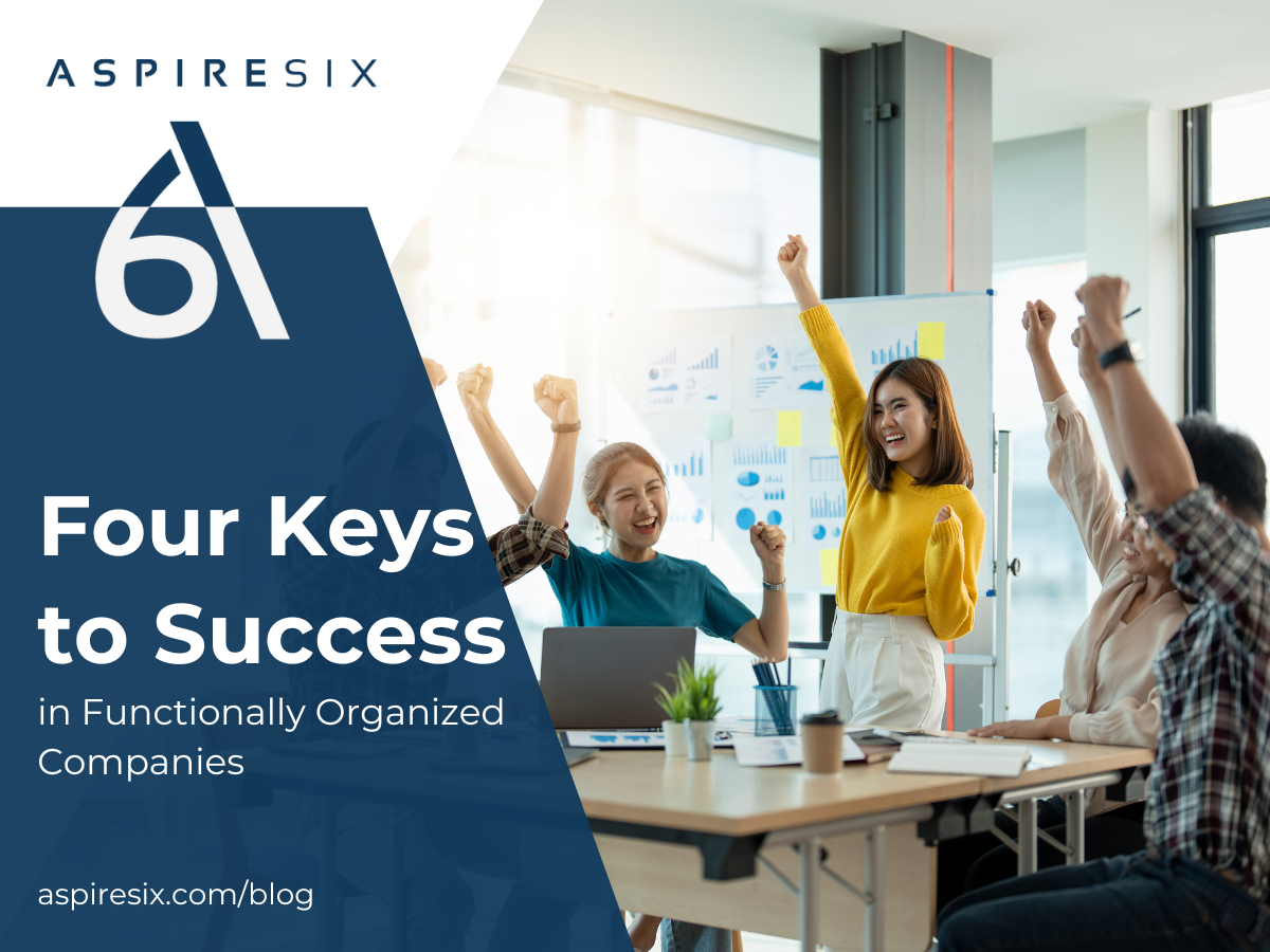 Four Keys to Success in Functionally Organized Companies - AspireSix